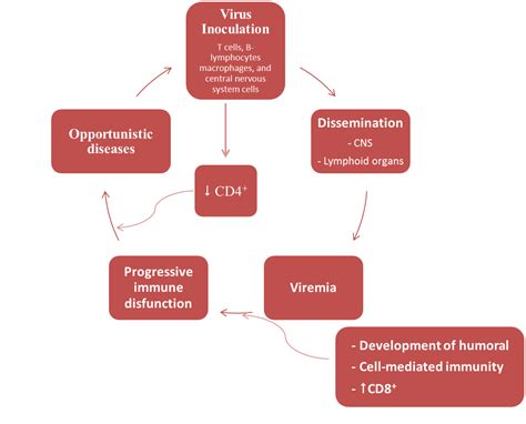 Feline Immunodeficiency Intechopen