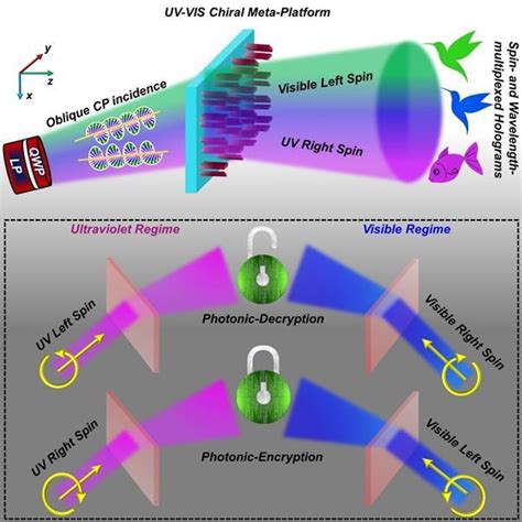 Postech 노준석 교수팀 자외선 가시광선에서 스핀·파장 다중화 가능한 메타 플랫폼 개발