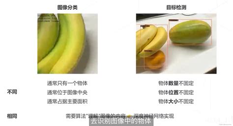 【openmmlab Ai训练营第二期】class6目标检测与mmdetectionmmdetection Open Vocabulary