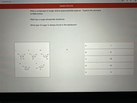 Solved Rna Is Composed Of Single Strand Polynucleotide