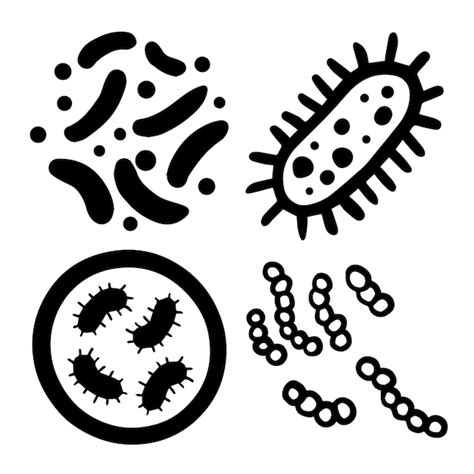 Premium Vector Microorganisms In Coccus Vibrio Shapes