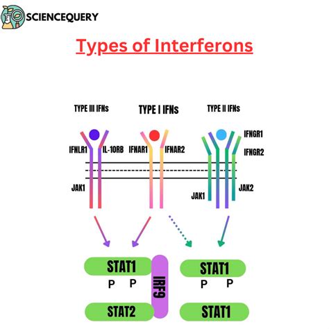 Biotechnology Archives Sciencequery