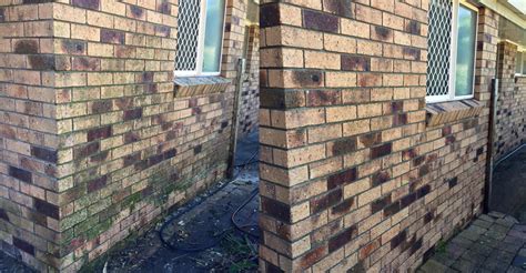 Exterior House Cleaners