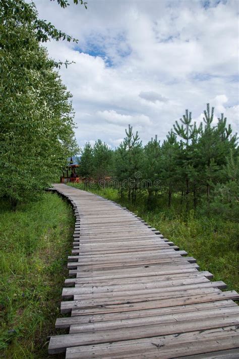 Arctic Sandbar Forest Trails Mohe Arctic Village Stock Image Image Of