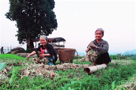 Phát Triển Bền Vững Vùng đồng Bào Dân Tộc Thiểu Số Và Miền Núi