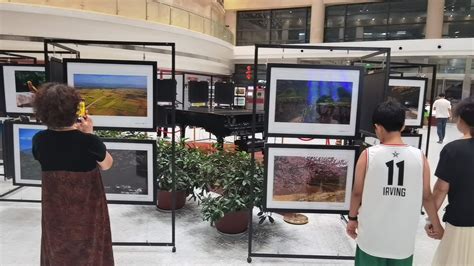 豫见卫辉 邂逅美好卫辉市摄影作品展走进新医一附院