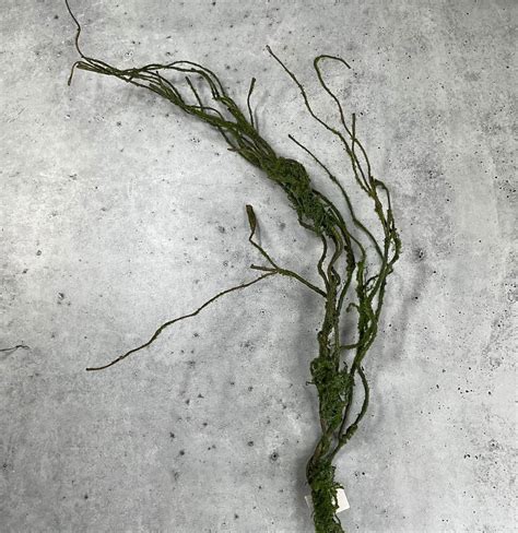 Artificial Mossy Twigs Greenery Market