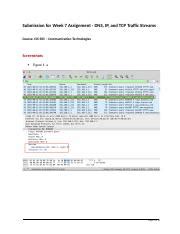 CIS 505 Week 7 Assignment Docx Submission For Week 7 Assignment DNS IP And TCP Traffic
