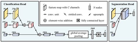 Dct Stream Classification And Segmentation Head Architecture Each Is