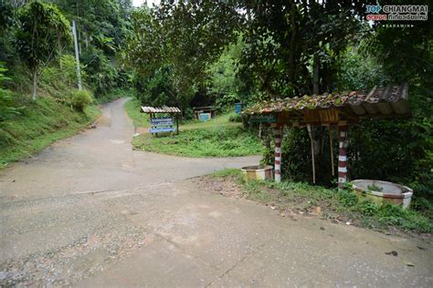 บ้านต้นไม้ แม่แมะ 30 Top Chiang Mai สุดยอด ที่เที่ยว ที่กิน ข้อมูล