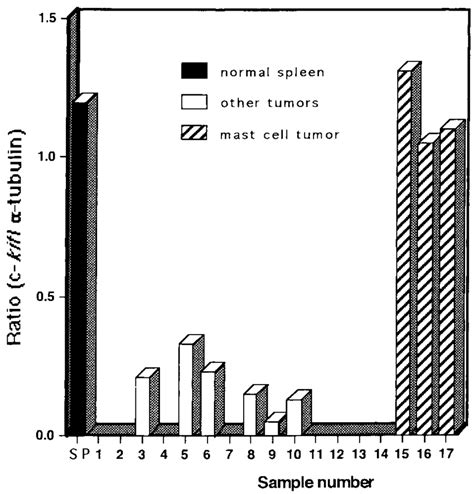 Relative Amplification Of C Kit Mrna In Various Canine Tumors Listed In