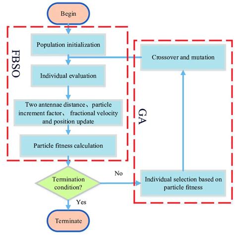 The Schematic Representation Of The Hga Fbso Algorithm Download