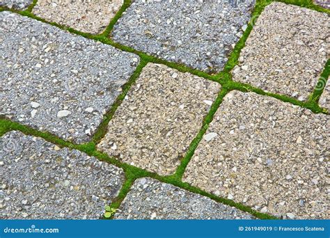 Colored Concrete Self Locking Flooring Blocks With Grassy Joints