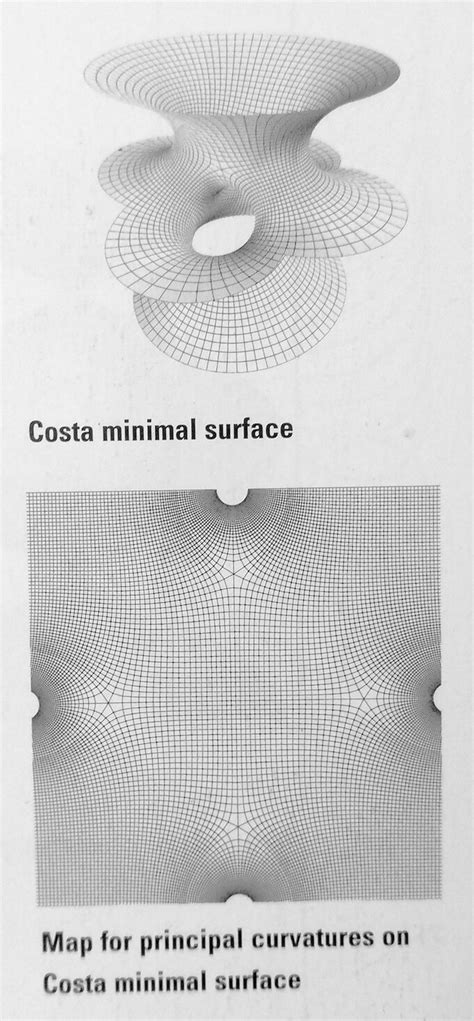 Isothermic Costa Surface Page 2 Kangaroo Mcneel Forum