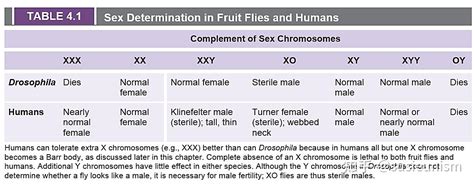 一些genetics笔记 知乎
