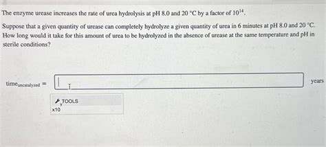 Solved The Enzyme Urease Increases The Rate Of Urea Chegg