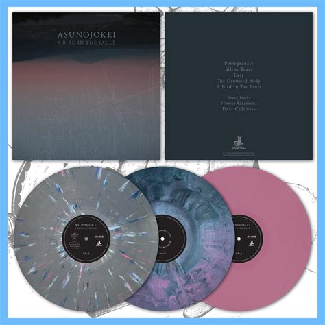 過誤の鳥 12 Asunojokei Official Merch Site