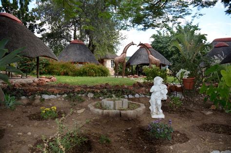 Kameel Doring Boom April 2017