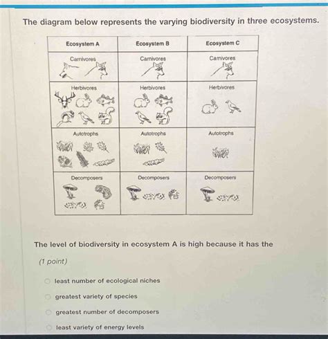 Solved The Diagram Below Represents The Varying Biodiversity In Three Ecosystems The Level Of