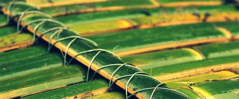 Da Vinci Bridge Header Giant Grass