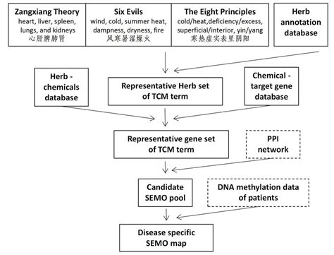 Computational Workflow For Mapping Traditional Chinese Medicine Tcm