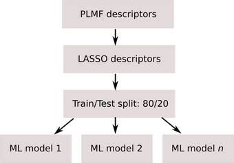 Schematic Diagram Of The Workflow Of The Machine Learning Procedure Download Scientific Diagram