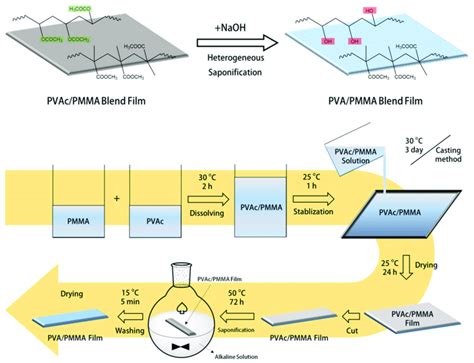 Schematic Illustration Of The Pvapmma Maa Blend Film Prepared Using