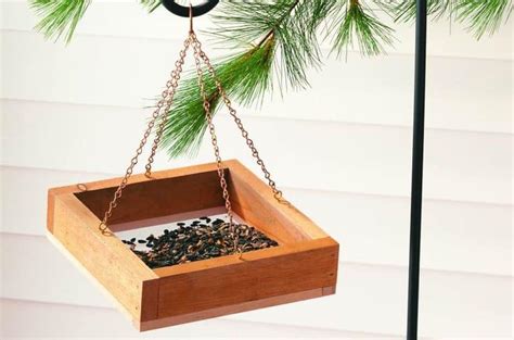 10 Diy Cardinal Bird Feeders Theyll Actually Use