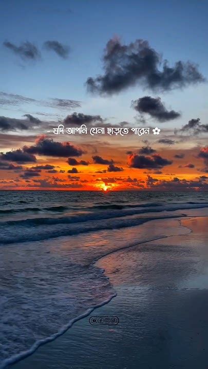 ইনশাআল্লাহ আপনার যে কোনো দোয়া কবুল হবে যদি আপনি যেনা ছাড়তে পারেন‼️