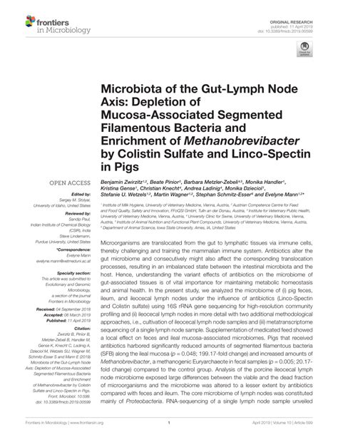 Pdf Microbiota Of The Gut Lymph Node Axis Depletion Of Mucosa