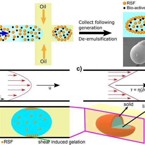 A Schematic Representation Of The Microfluidic Device Used B C Download Scientific Diagram