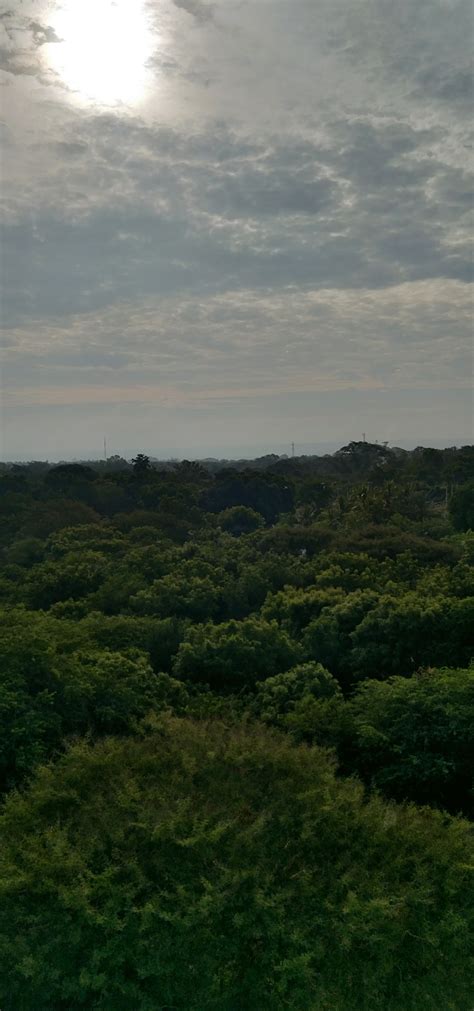 သက်ဆိုင်သူထံသို့ Sarphat