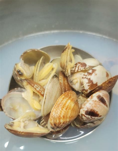 바지락칼국수 끓이는 법 시원한 국물 조개칼국수