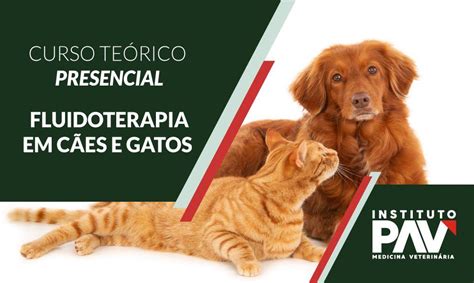 Fluidoterapia Em Cães E Gatos Instituto Pav