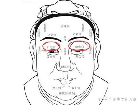 面相十二宫图解爱好者一定要收藏 知乎
