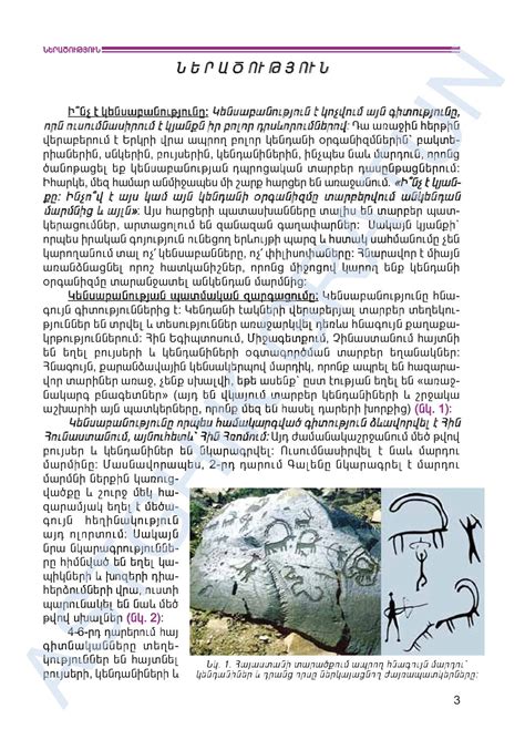 ԿԵՆՍԱԲԱՆՈՒԹՅՈՒՆ 9 ԸՆԴՀԱՆՈՒՐ ՕՐԻՆԱՉԱՓՈՒԹՅՈՒՆՆԵՐ