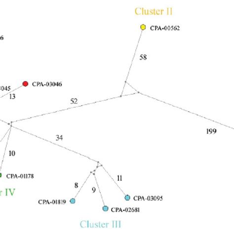 Median Joining Phylogenetic Network Of The 2022 Mexican H7n3 Hpaivs Download Scientific