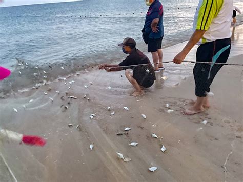 【澎湖。旅遊】澎湖秋冬微旅行從傳統技藝牽罟漁法再現起跑 鯨吞饞石 Udn部落格