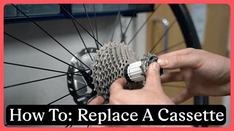 How To Remove And Install A Bike Cassette Basic Bike Skills 4 Youtube