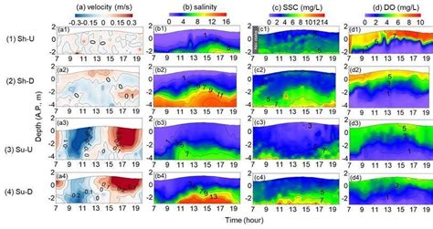 Temporal And Vertical Profile Of A Velocity B Salinity C Ssc Download Scientific
