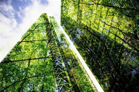 کدام روش‌ها برای مبارزه با تغییرات اقلیمی مهم هستند؟ ایسنا