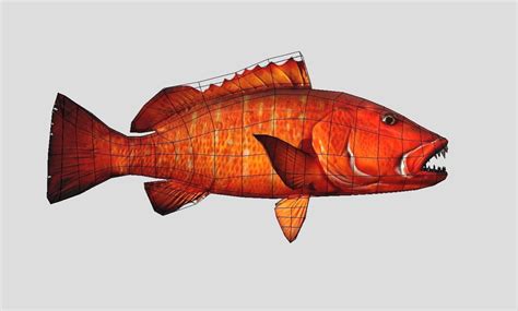 3d Model Cubera Snapper Realistic Animated Vr Ar Low Poly Cgtrader