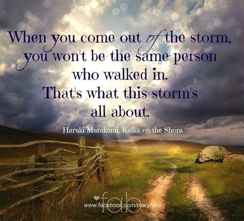 Inspirational Quote When You Come Out Of The Storm You Wont Be The