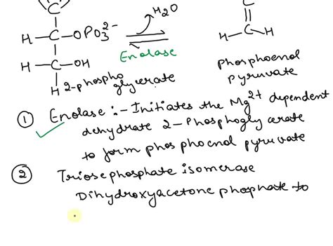 Solved Complete The Dehydration Reaction From Glycolysis By