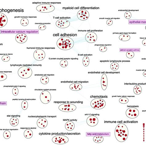 Enrichment Map Analysis Of The Transcriptomic Differences Between T2D