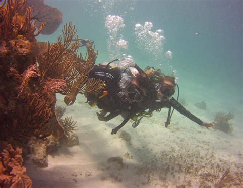 Puerto Morelos Diving At Puerto Morelos Reef