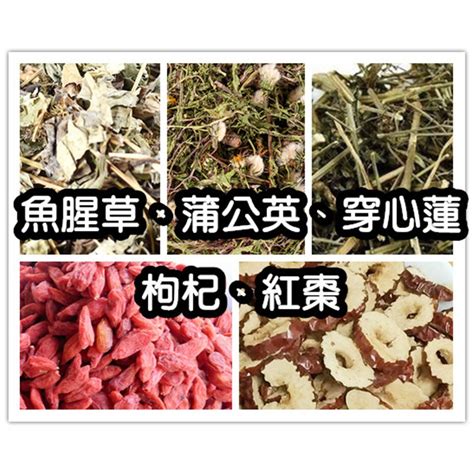 『穀粉茶包小棧』魚蓮英紅棗枸杞茶 魚腥草、蒲公英、穿心蓮、枸杞、紅棗 接單後現包 100 純天然無糖無其他添加物 蝦皮購物