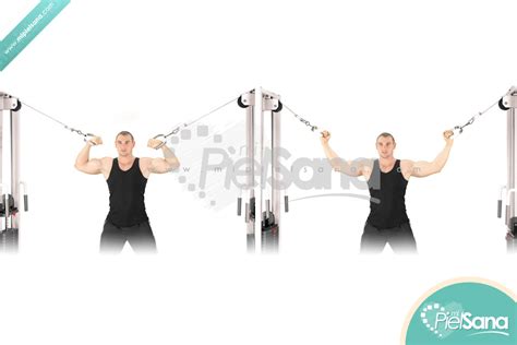 Standing High Pulley Cable Curl