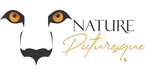 Wildlife Photo Gallery By Nature Picturesque