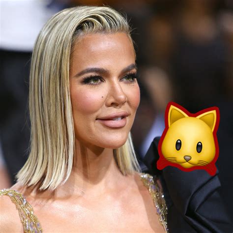 Fans Accuse Khloé Kardashian Of Photoshopping Her Cat In Recent